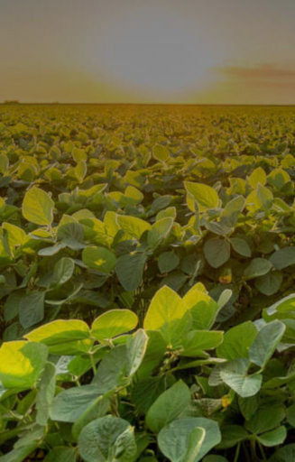 SummitAgro USA - TRAJECT