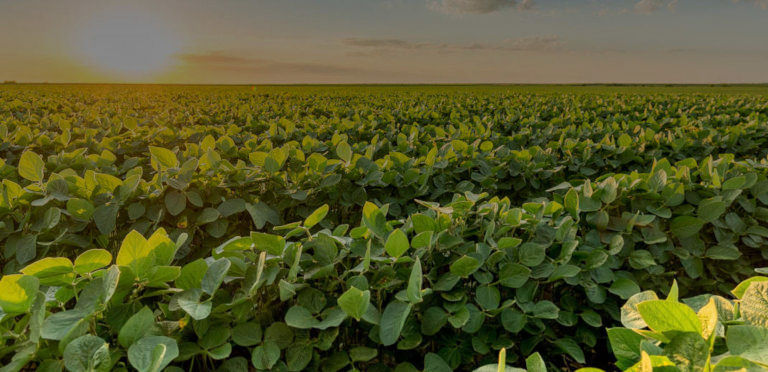 SummitAgro USA - TRAJECT